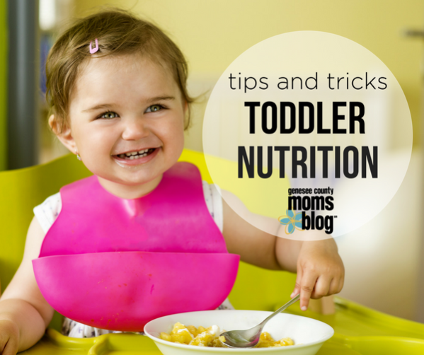 Toddler Nutrition: Tips and Tricks!
