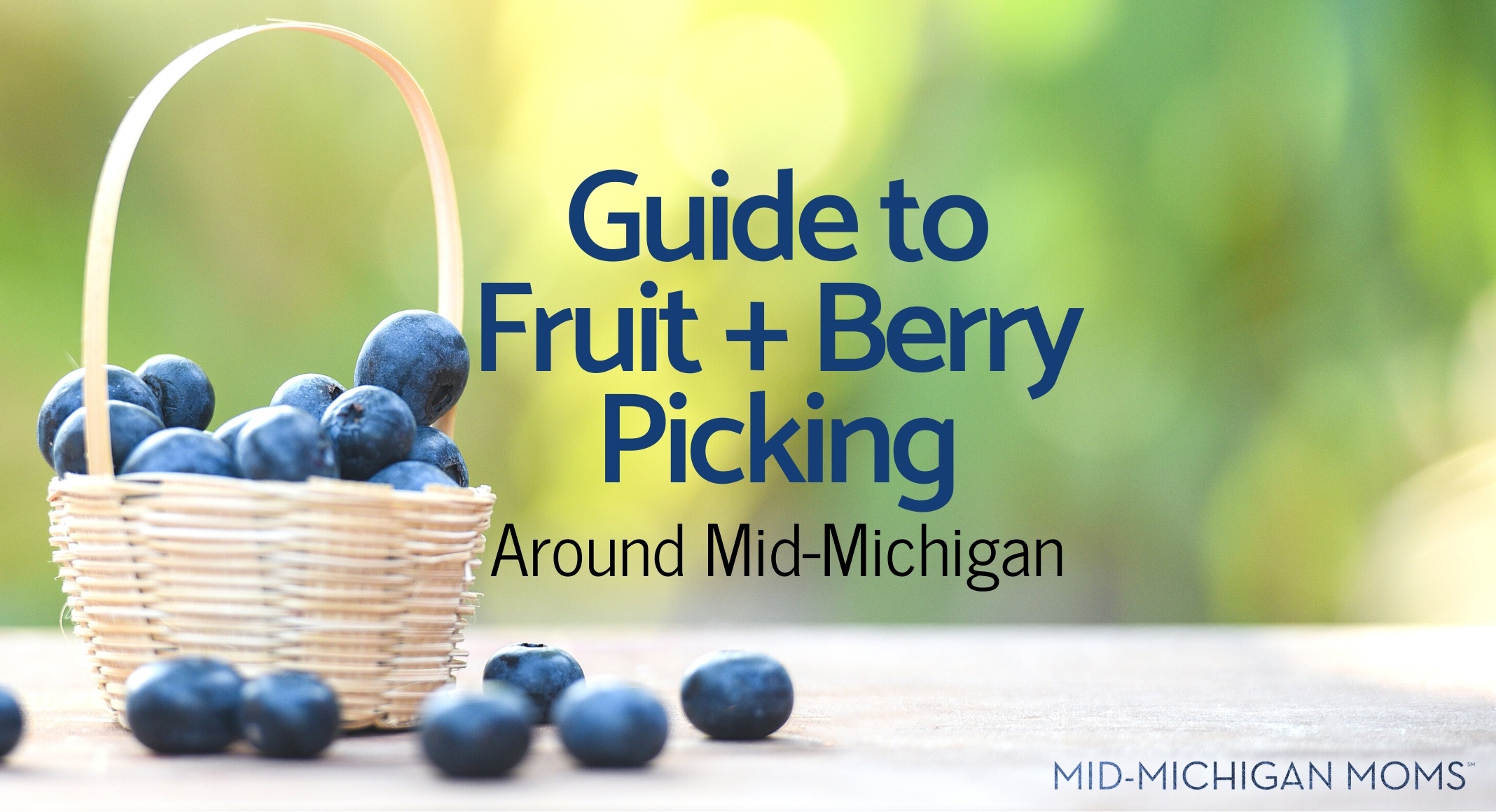 Guide to Fruit + Berry Picking Around Mid-Michigan
