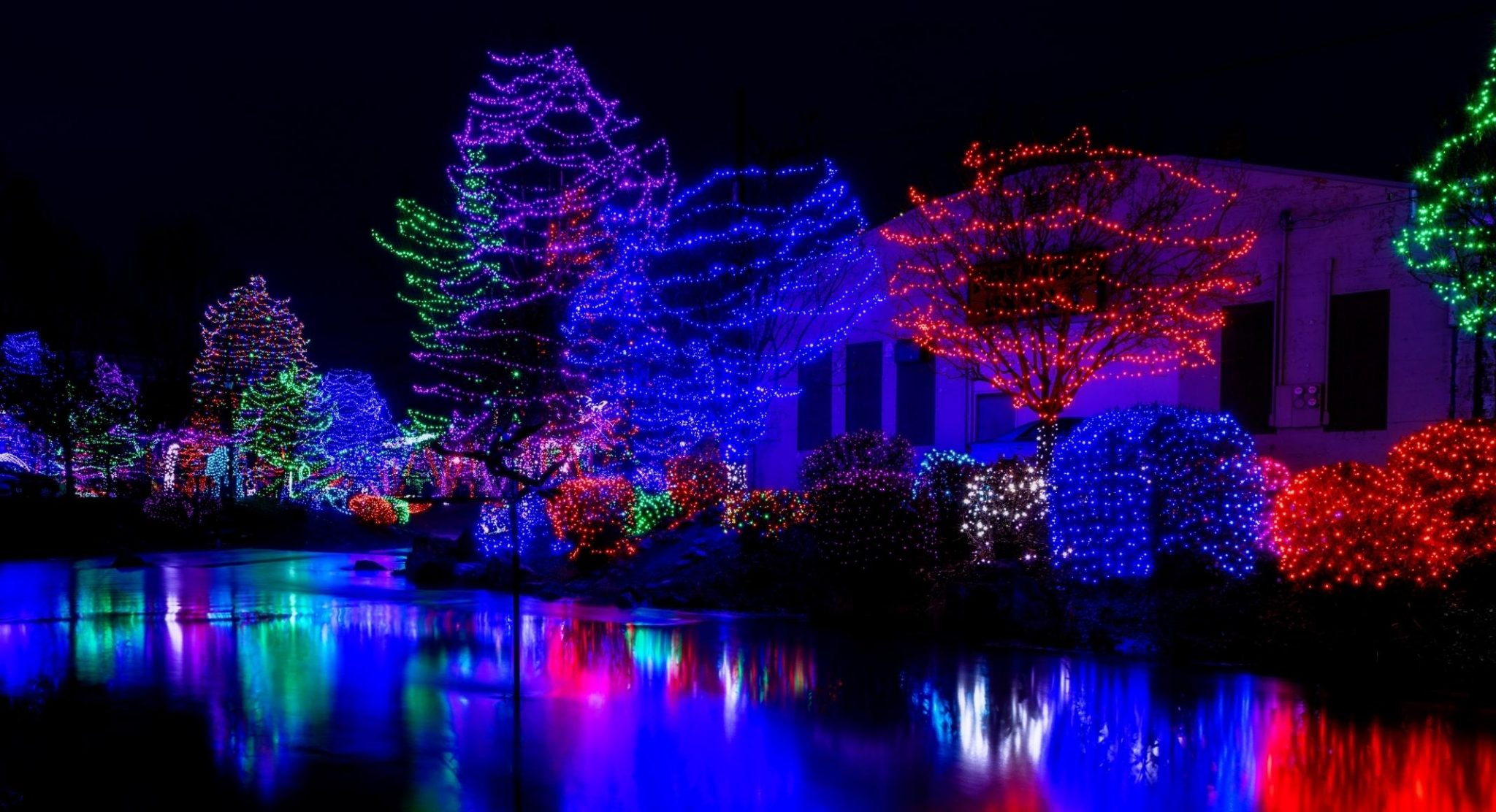 Michigan's Best Drive Thru Christmas Light Displays