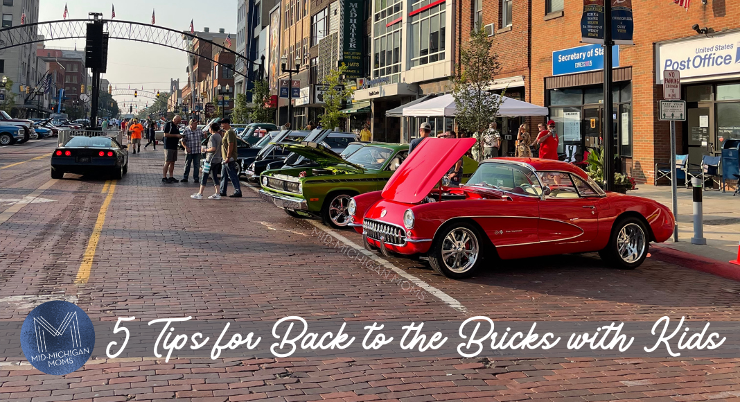 5 Tips for Back to the Bricks with Kids